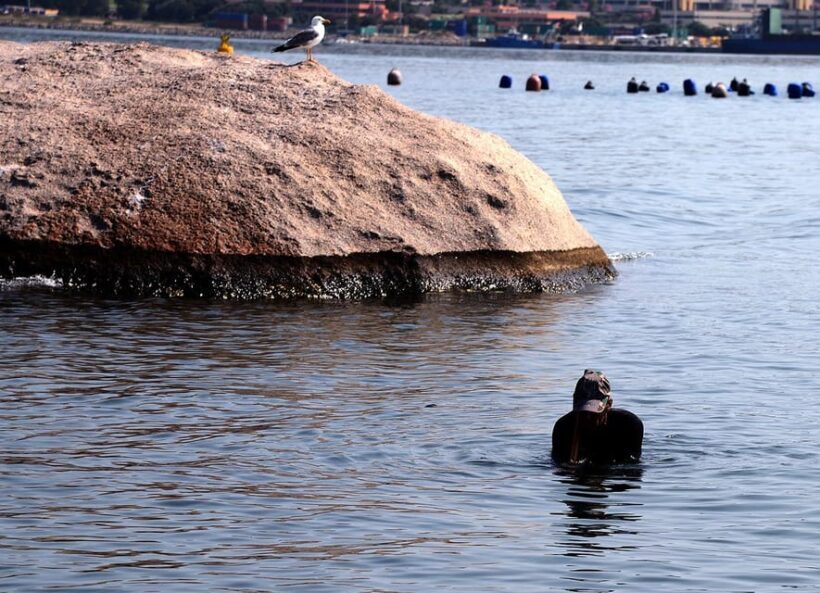 Olbia: Gulf of Olbia boat tour - A Closer Look: What the Tour Offers