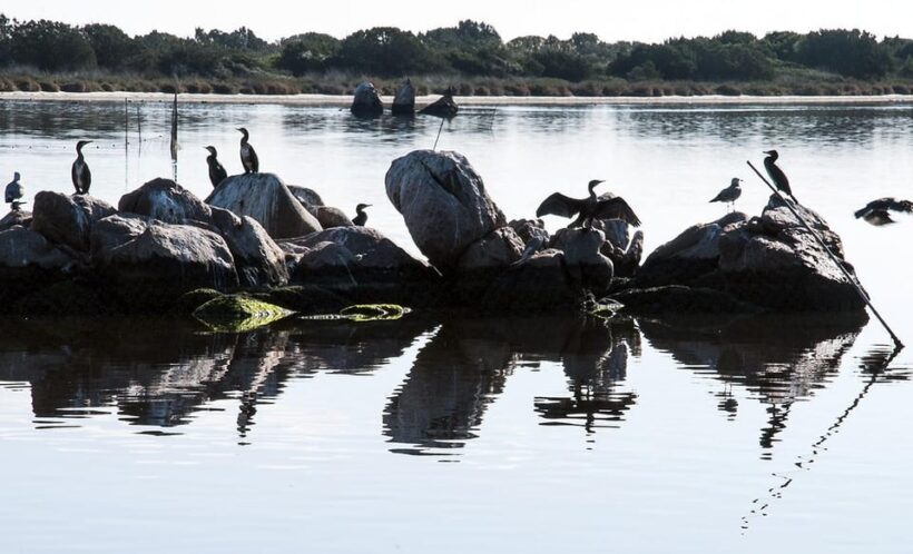 Olbia: Gulf of Olbia boat tour - Final Thoughts
