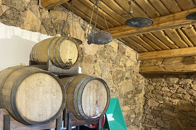 Olbia PASTA CLASS & FOOD EXPERIENCE Within Old Tipycal Village - Participant Feedback and Highlights