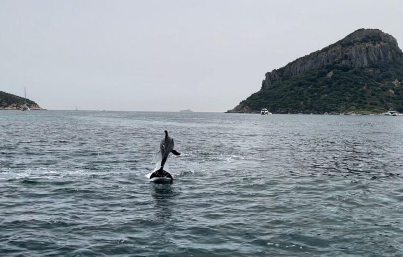 OLBIA: Unique excursions in the Gulf of Olbia - Practical Tips for Participants