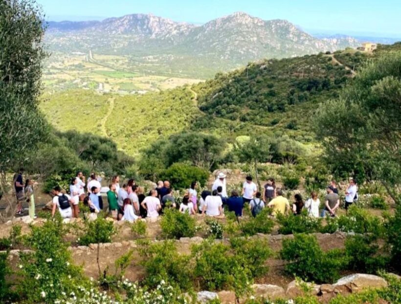 Olbia: visit a myrtle-making factory with tasting - Who Will Love This Tour?