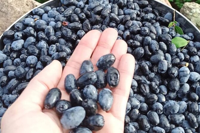 Olbia: visit a myrtle-making factory with tasting - Who Should Consider This Tour?