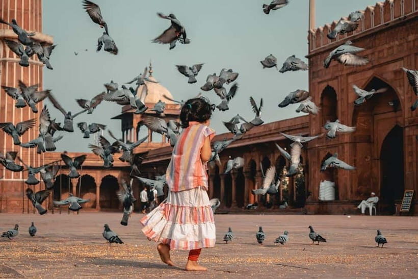 Old Delhi: Half Day Private Guided Tour and Rickshaw Ride - Key Points
