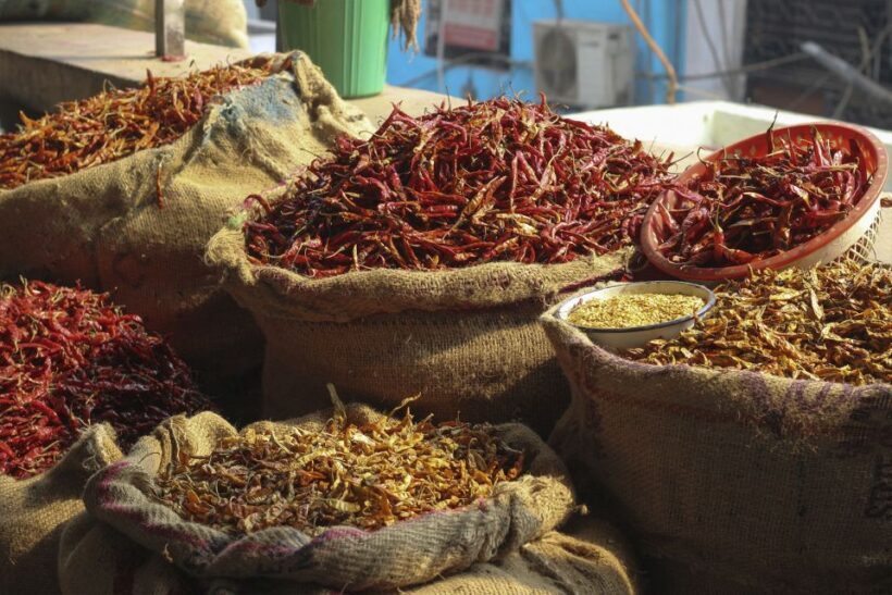 Old Delhi & Spice Market Tour - Who Should Book This Tour?