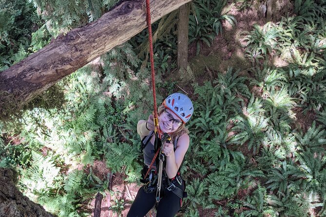 Old-Growth Tree Climbing at Silver Falls State Park - Experience the Thrill of Climbing