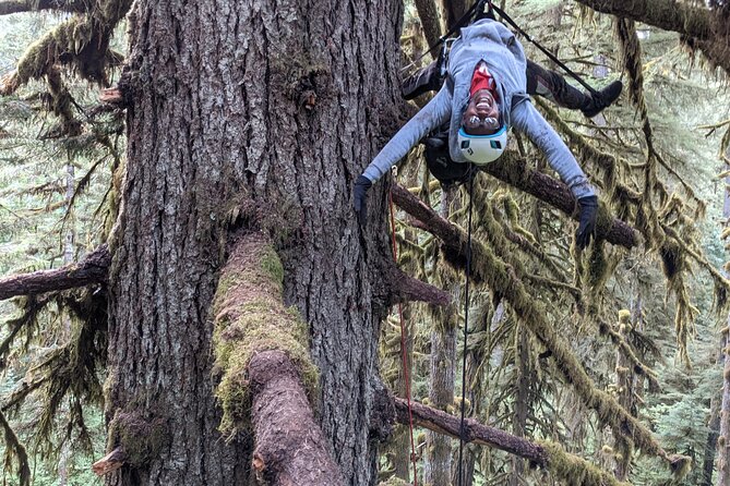 Old-Growth Tree Climbing at Silver Falls State Park - Accessibility and Inclusivity for All
