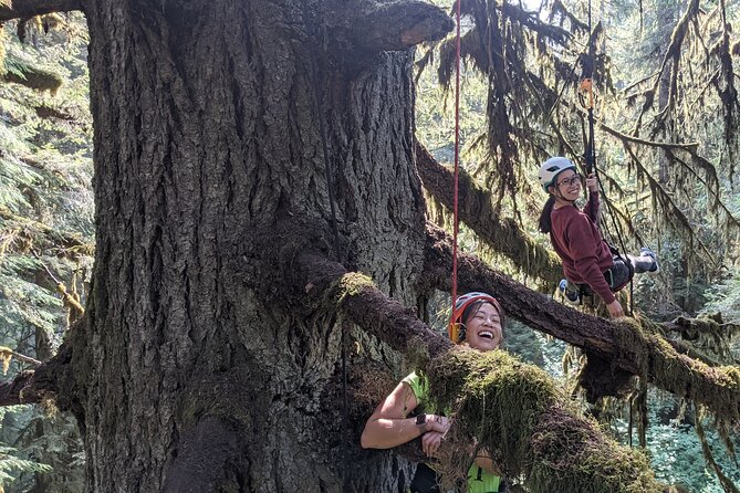 Old-Growth Tree Climbing at Silver Falls State Park - Planning Your Visit to Silver Falls State Park