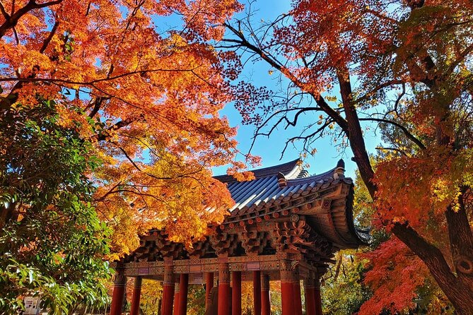 Old Korea Thousand History Tour of Gyeongju from Busan - The Experience in Practice