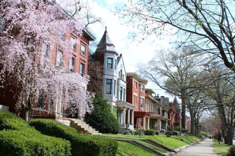 Old Louisville: History and Architecture Walking Tour - What Makes This Tour Special?
