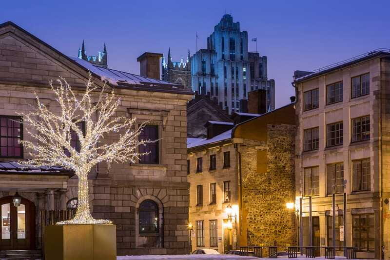 Old Montréal Small-Group Christmas Tour - Who Will Love This Tour?