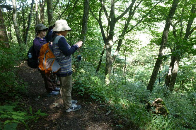 Old Nakasendo trekking from Karuizawa-Beyond Sugahi Pass to Sakamoto Hotel- - Key Points