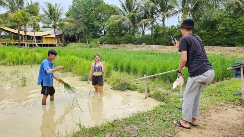 Old Phuket Farm Ticket - Countryside Local Life Culture - Who Should Consider This Tour?