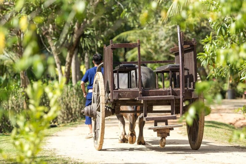 Old Phuket Farm Ticket - Countryside Local Life Culture - Final Thoughts