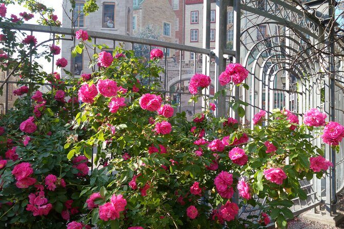 Old Quebec City Private Walking Tour : History and Nature - Frequently Asked Questions