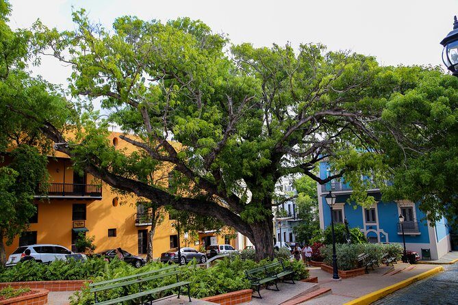 Old San Juan and Rum Factory Full-Day Tour: Minimum 8+ people - The Sum Up: Who Will Love This Tour?