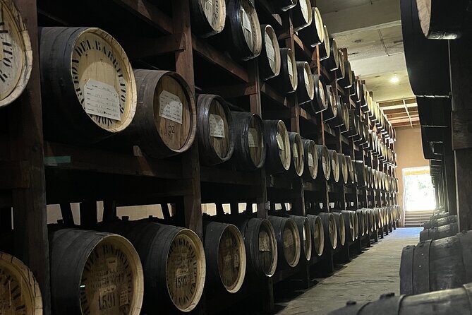 Old San Juan Private Tour with Barrilito Rum Experience - Introduction: Why This Tour Stands Out