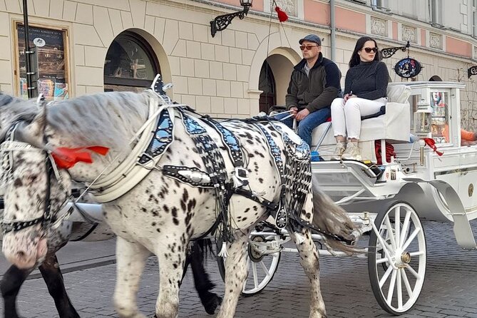 Old Town of Krakow and Wawel in Russian - Practical Details That Matter