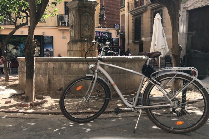 OLD TOWN | Private Guided Tour on Bike, E-Bike, E-Step or Segway - Essentials for Your Journey: Whats Included
