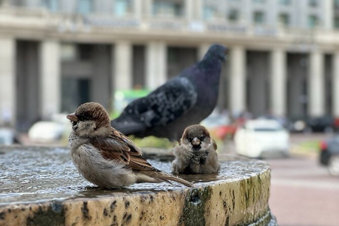 Old Town Tbilisi: Walking Tour & Wine Tasting With a Local Guide - Booking and Cancellation Policy
