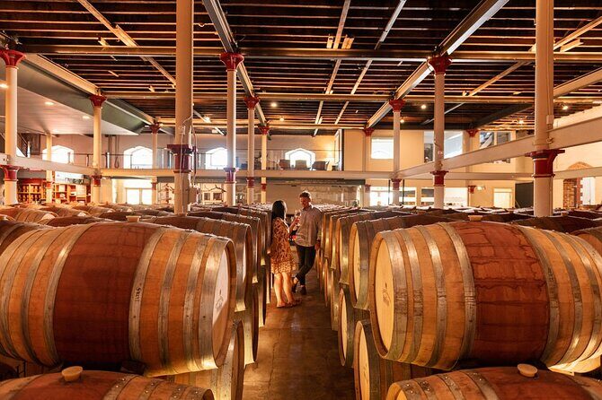 Old Vine Expressions Tasting - Why This Tour Is Worth Considering