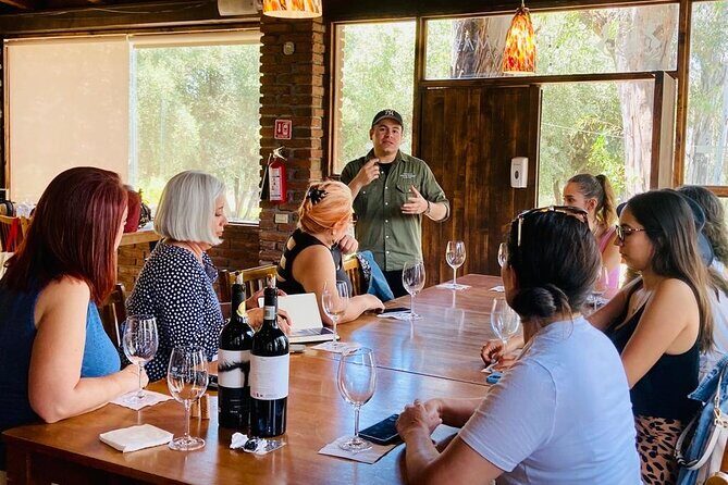 Old Wine Route Tour Experience at Baja California. ALL INCLUSIVE! - Who Will Love This Tour?