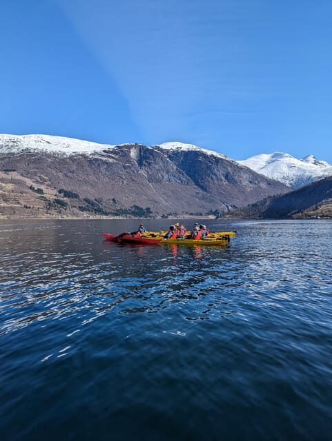 Olden: Guided beginner friendly fjord kayaking.Local company - Who Is This Tour Best For?