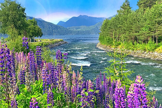 Olden Private Shore Excursion Briksdal Glacier and SkyLift Loen - What’s Included and What’s Not