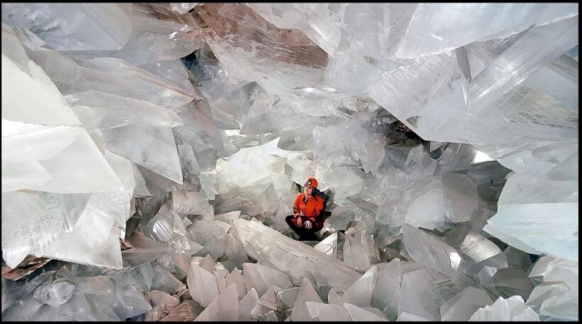 OleoAlmanzora: Guided tour & tasting + Pulpí Geode (6-hours) - Exploring the Tour in Detail