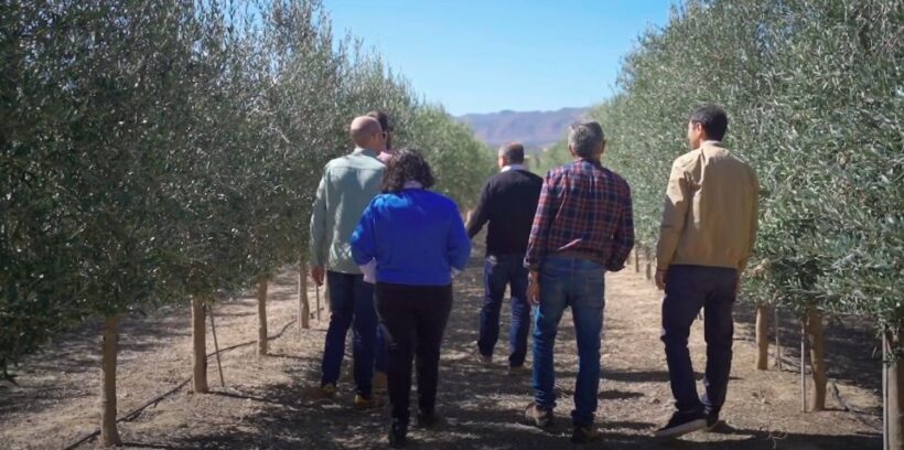 OleoAlmanzora: Guided tour & tasting + Pulpí Geode (6-hours) - Authentic Experiences & Authenticity