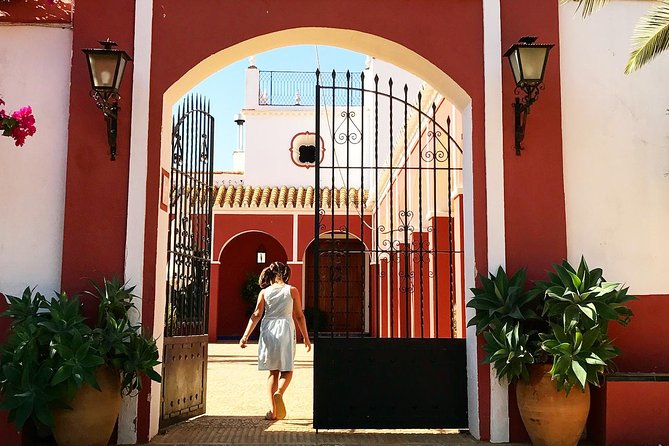 Oleotourism and olive oil tasting in Seville - Private tour - Final Thoughts: Is It Worth It?