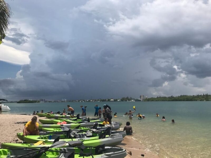Oleta River State Park: Eco Kayak or Paddleboard Tour - Who Will Love This Tour?