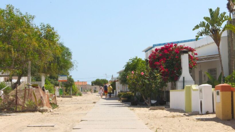 Olhão: 4-Hour Ria Formosa Islands Tour - The Details: What to Expect from the Tour