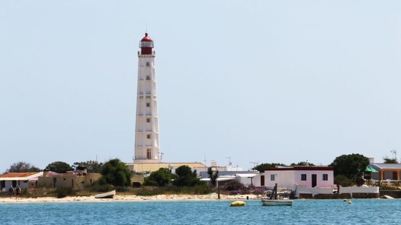 Olhão: 4-Hour Ria Formosa Islands Tour - Final Thoughts: Why Choose This Tour?