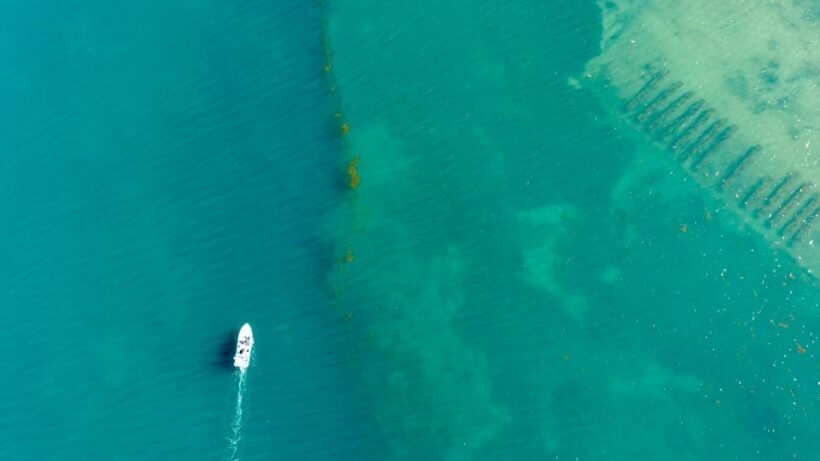 Olhão: Formosa Rota 2H - Who Should Consider This Tour?