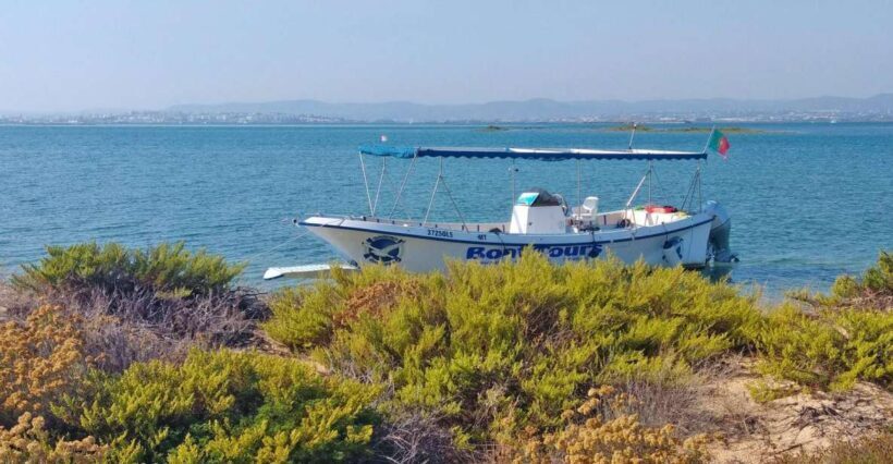 Olhão: Private Boat Tour to Ria Formosa - An In-Depth Look at the Ria Formosa Private Boat Tour