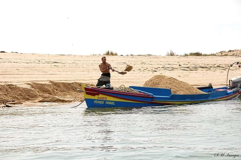 Olhão: Ria Formosa 3 Islands Guided Day Trip by Boat - Key Points