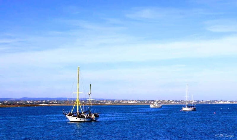 Olhão: Ria Formosa 3 Islands Guided Day Trip by Boat - Final Thoughts: Is It Worth It?