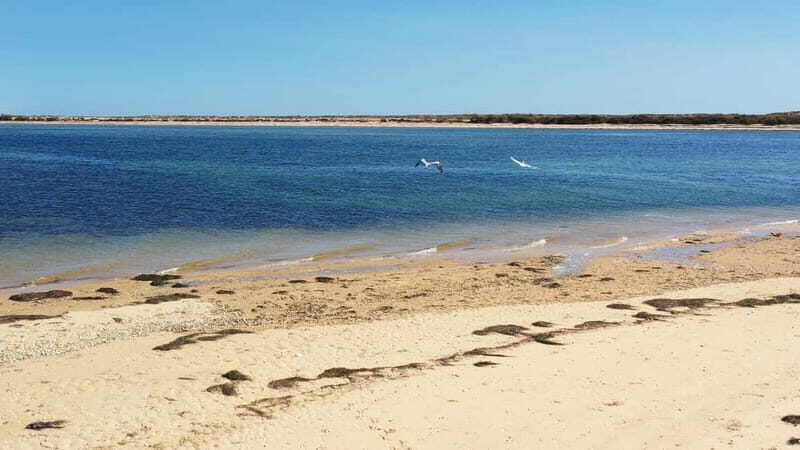 Olhão: Ria Formosa National Park Boat Cruise - FAQ