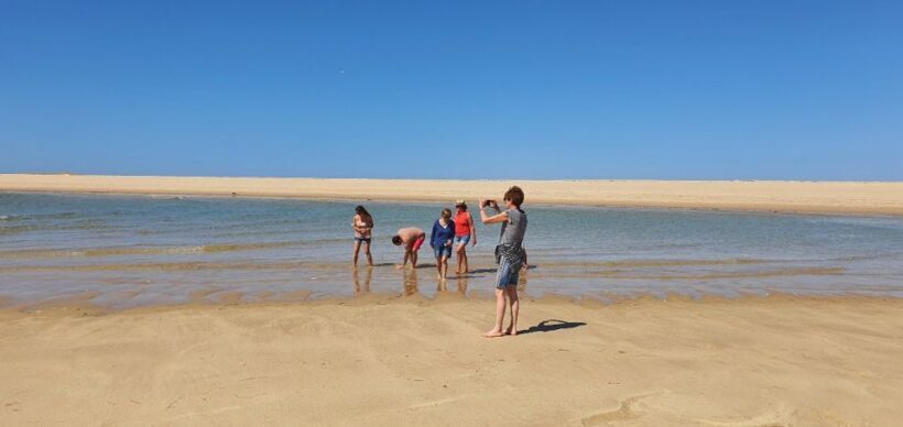 Olhão:5h ride 3 stops on the beaches and islands Ria Formosa - Exploring Ria Formosa from Olhão