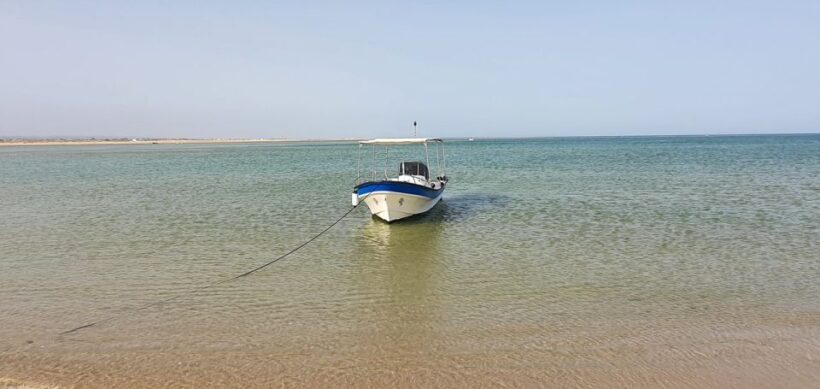 Olhão:5h ride 3 stops on the beaches and islands Ria Formosa - Why This Tour Works