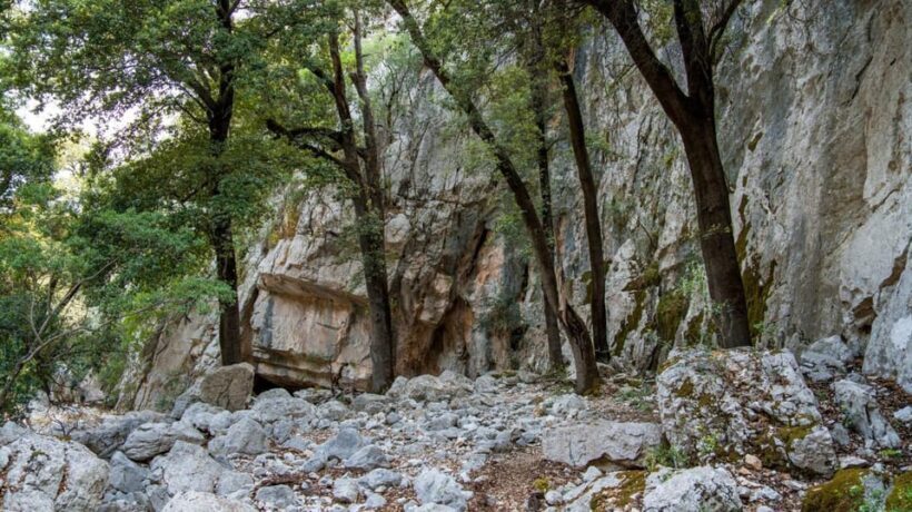 Oliena: Sa Nurre de Su Hoda Cave Hiking - Who Should Consider This Tour?