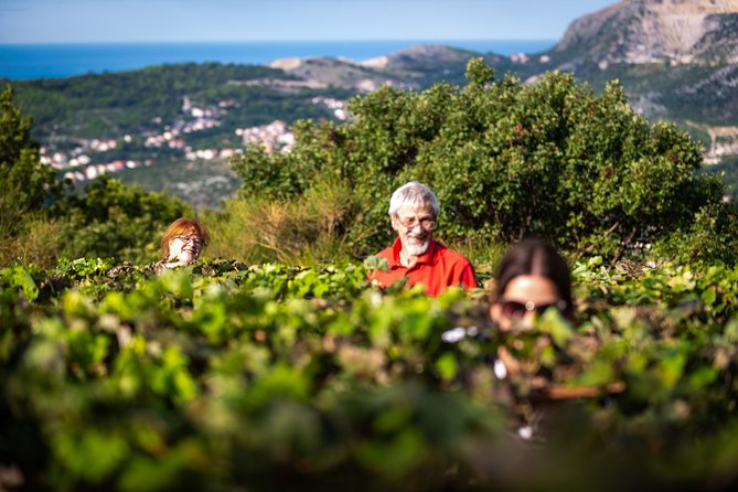 Olive Farm & Village - Experiencing the Village Life