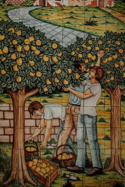 Olive grove walk and Tasting - Additional Considerations
