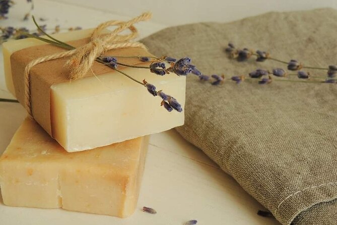 Olive harvest, visit to the oil mill and typical lunch - Key Points