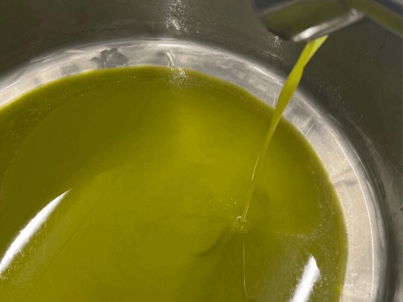 Olive Mill Tour and Tasting in the Padua Hills - Key Points
