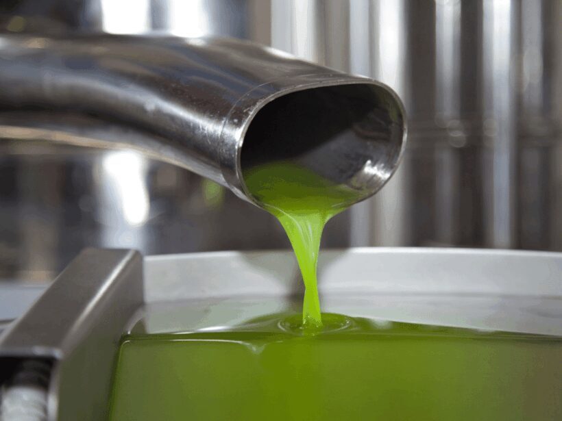 Olive Mill Tour and Tasting in the Verona Countryside - Exploring the Experience