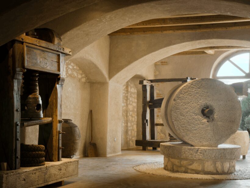 Olive Mill Tour and Tasting in the Verona Countryside - Pricing and Value