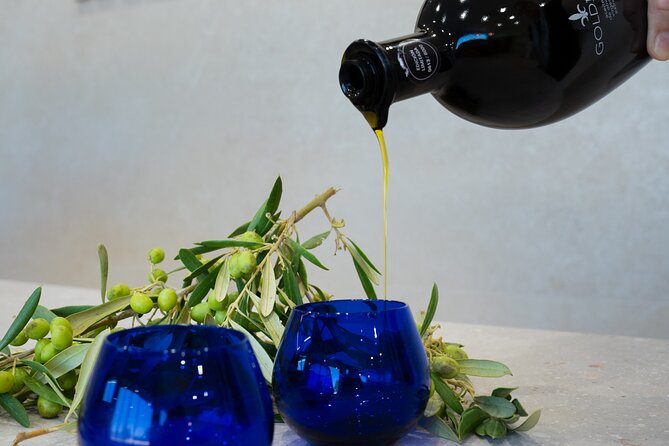 Olive Oil and Winery Tour from Zaragoza City - Introduction: A Tasty Day Out in Zaragoza’s Countryside