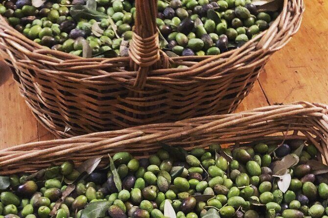 Olive Oil, Cheese, and Wine Tasting with Local Expert - Key Points