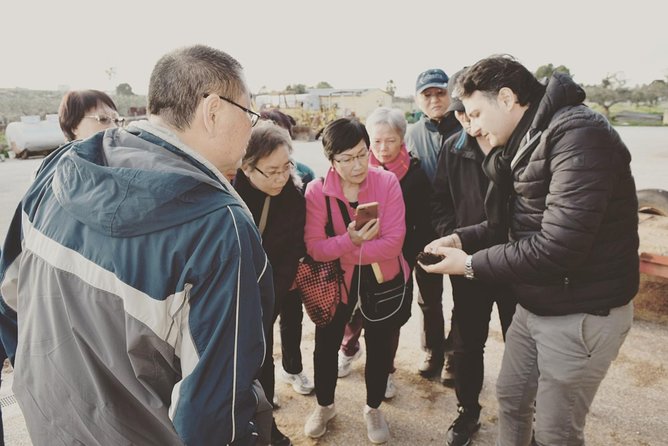 Olive Oil Experience - Sicilian Cuisine and Olive Oil Pairings